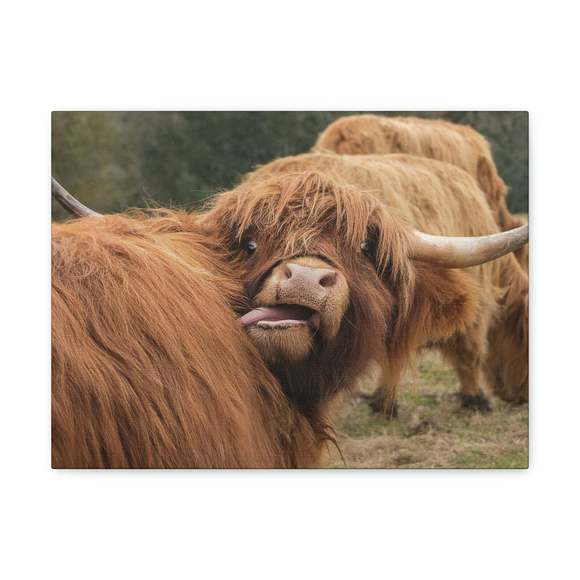 Express Your Love Gifts | Art | Funny Yak Silly Yak Outside Wall Art ...